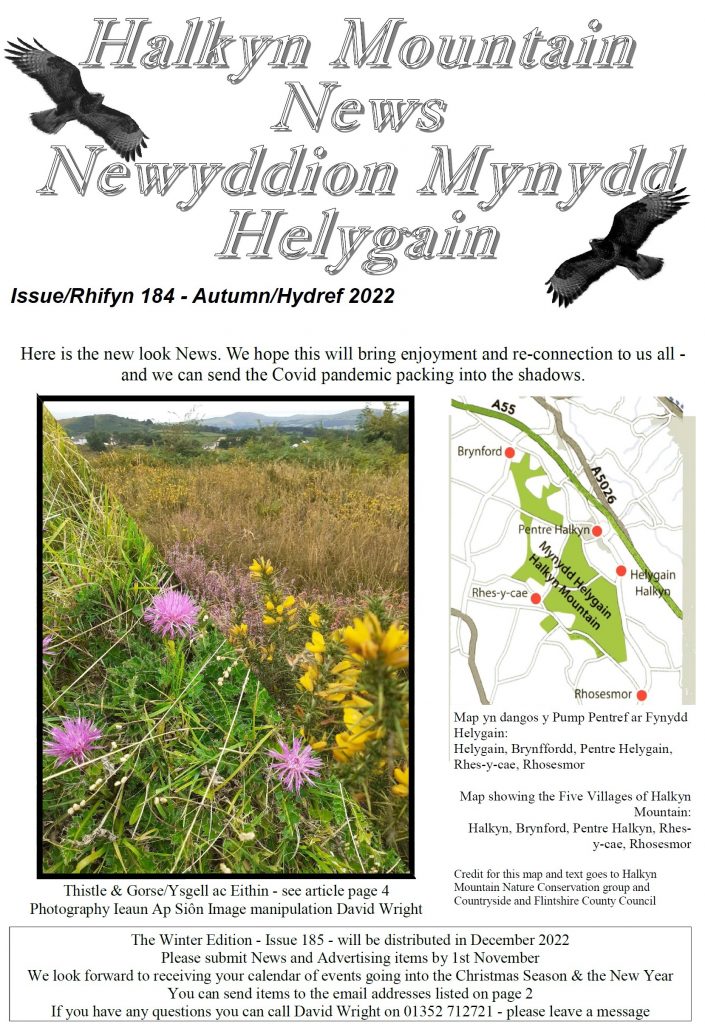 Halkyn Mountain News – Halkyn